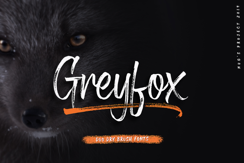 Greyfox Font Duo | Nugs Studio